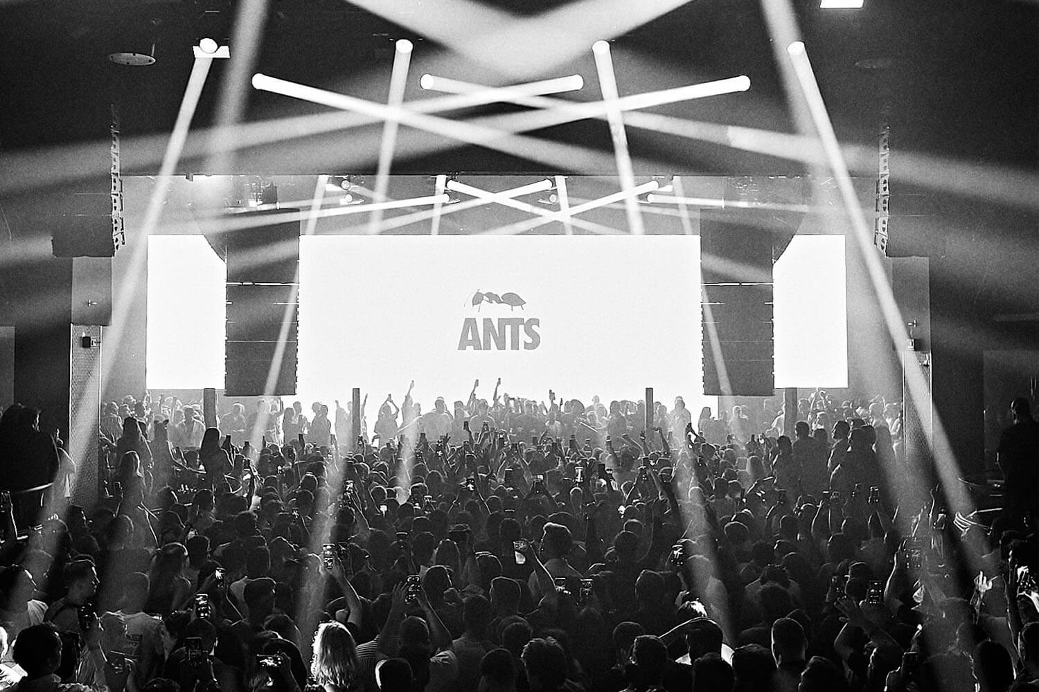 ANTS returns to Zamna Festival in Tulum
